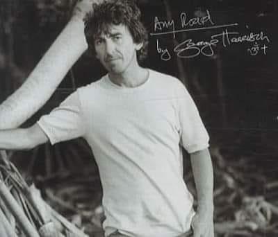 George Harrison - El Siestero